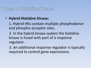 Two-component Signal Transduction | PPTX