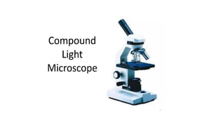 Compound Microscope - Microbiology for Lab Technicians | PPT