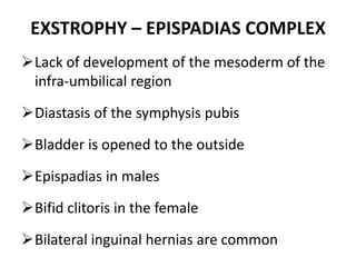 2 congenital anomalies lower | PPTX