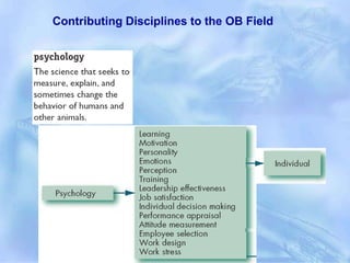 2 contributing discipline | PPTX