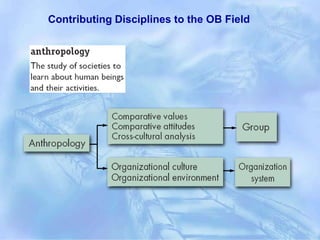 2 contributing discipline | PPTX