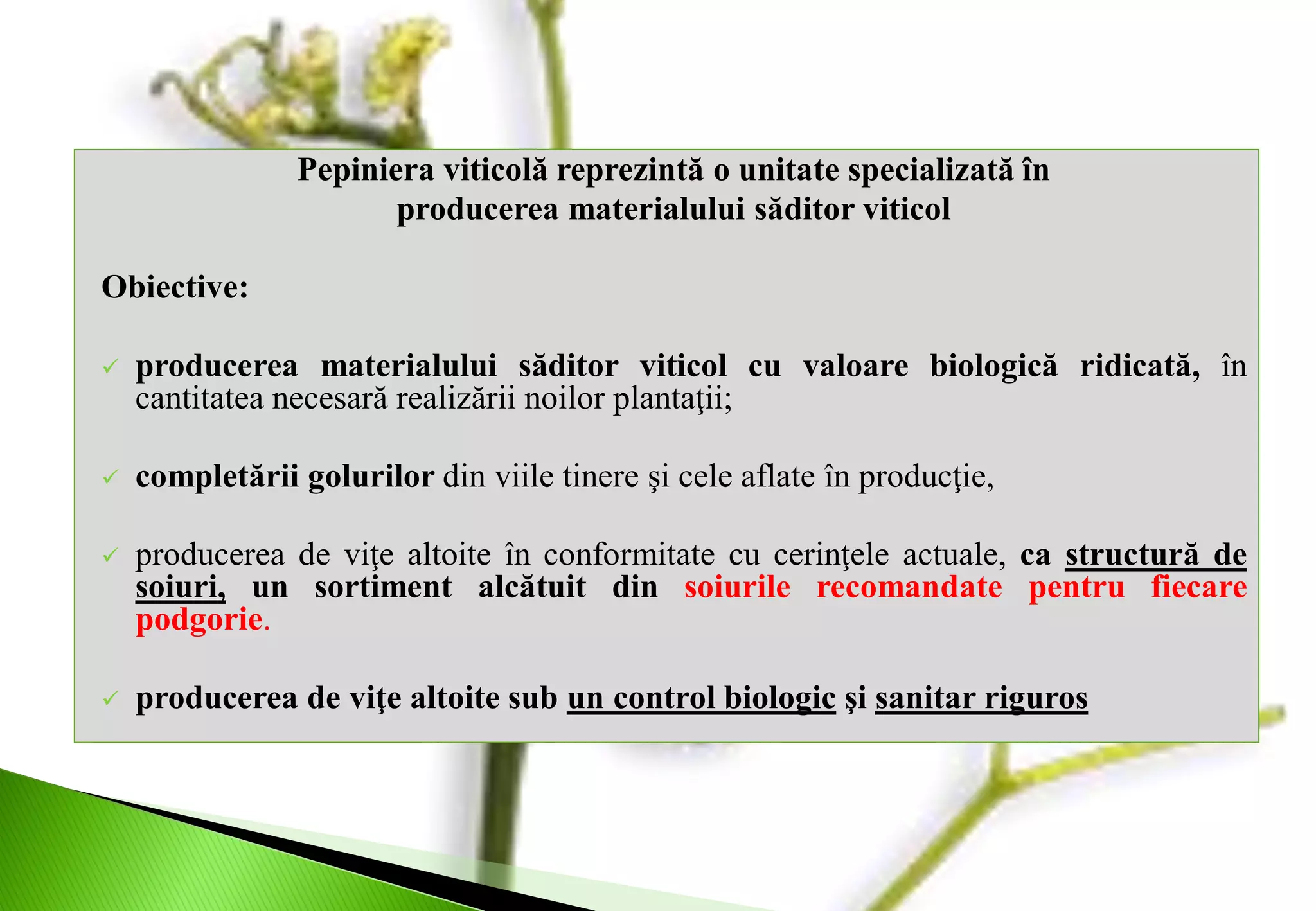 2, Controlul calitatii materialului saditor viticol.pdf