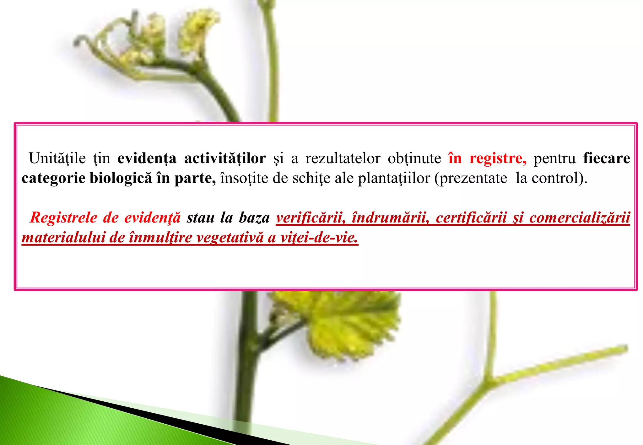 2, Controlul calitatii materialului saditor viticol.pdf