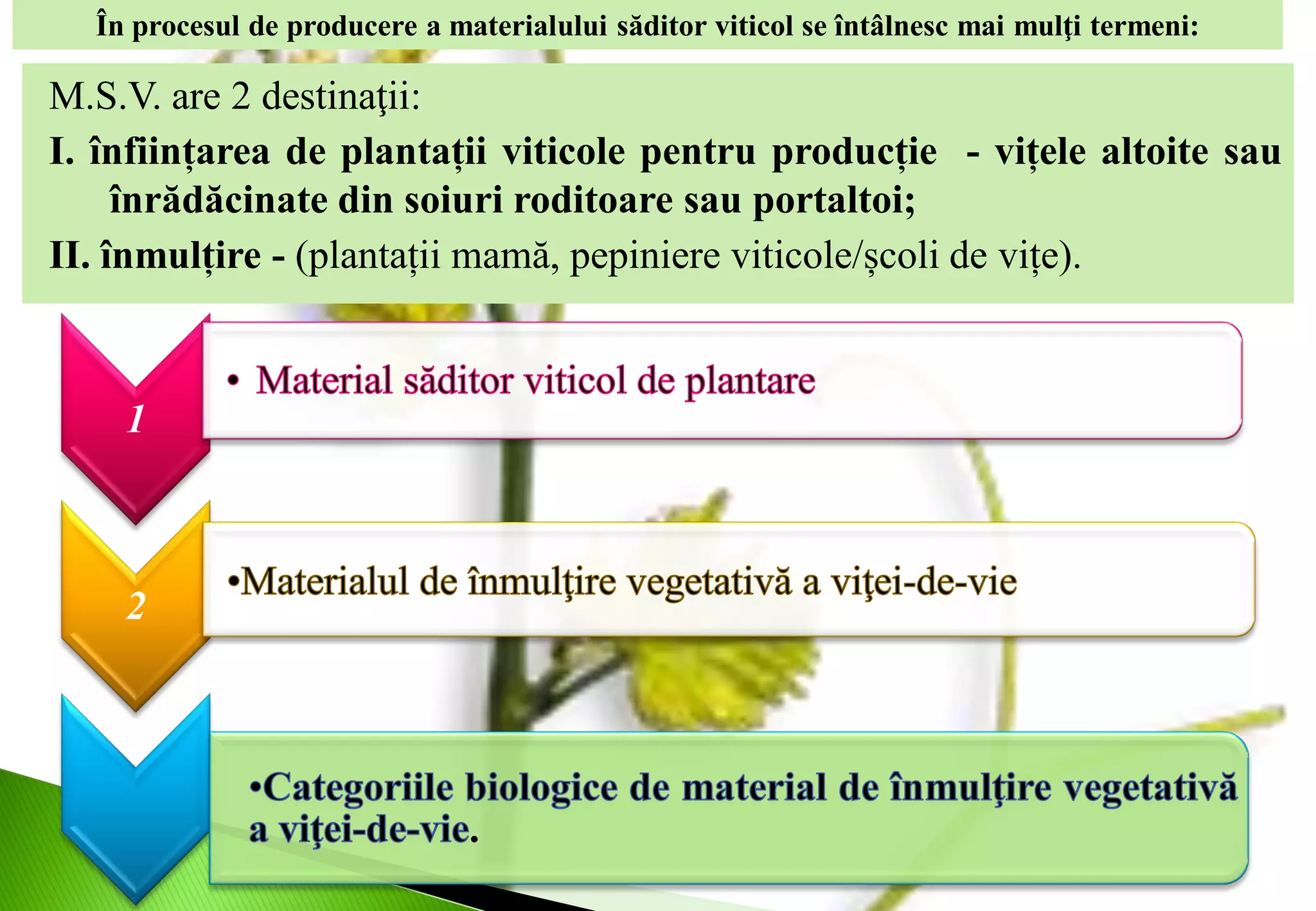 2, Controlul calitatii materialului saditor viticol.pdf