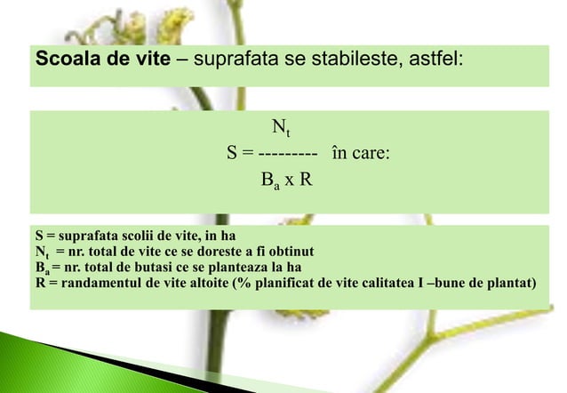2, Controlul calitatii materialului saditor viticol.pdf