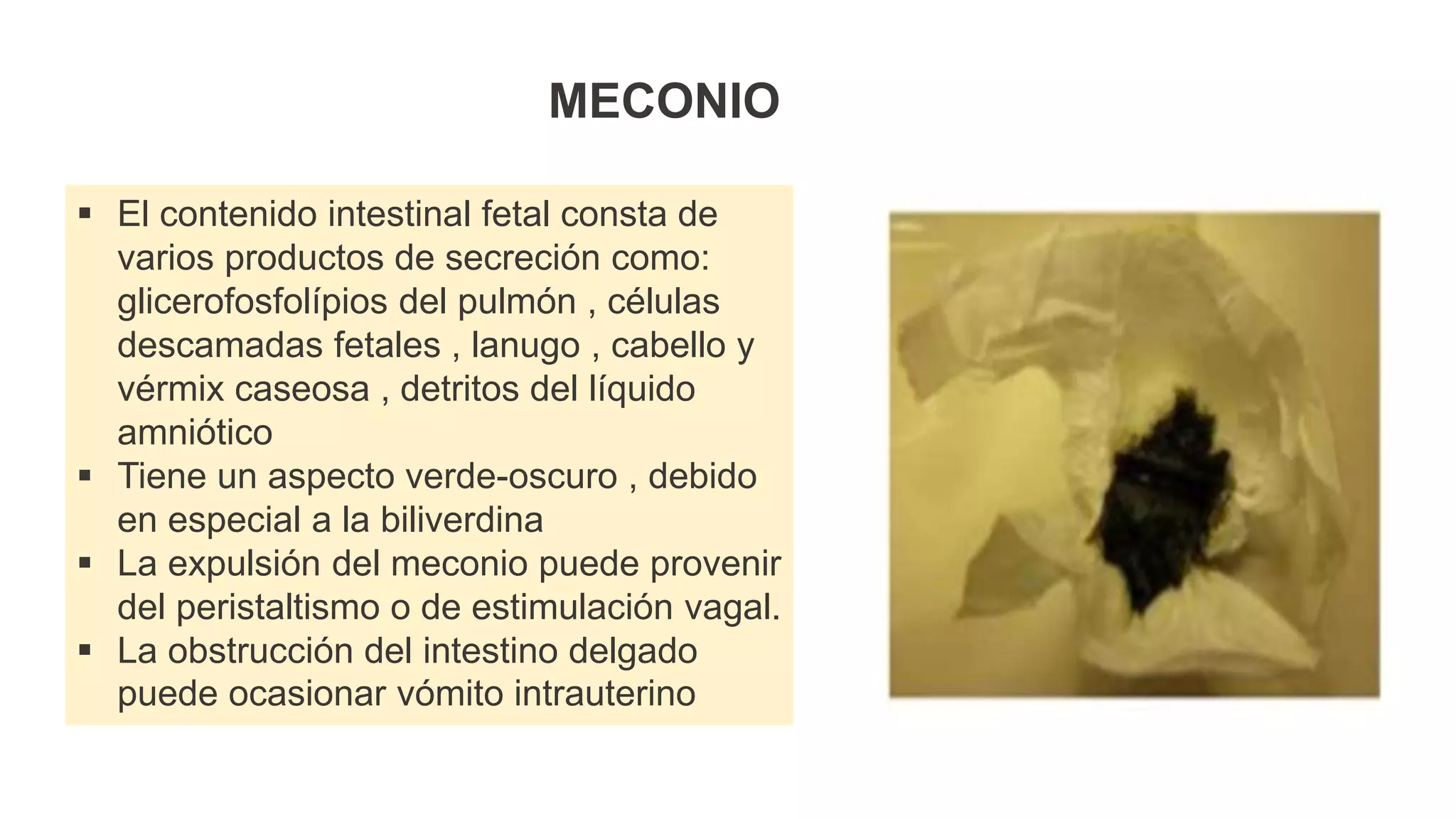 2 crec y des fetal.pptx