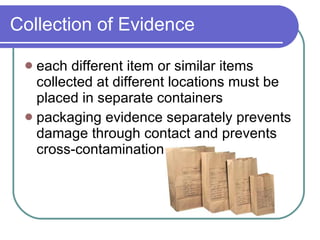 Crime Scene Protocols | PPT