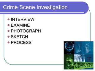 Crime Scene Protocols | PPT