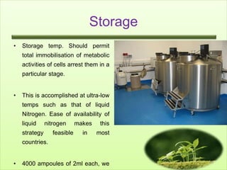 Cryopreservation, germplasm storage 2 | PPT