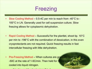 Cryopreservation, germplasm storage 2 | PPT