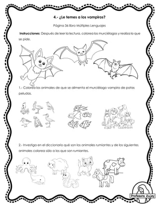 CUADERNILLO COMPRENSIÓN para segund grado donde hay diverdiad | PDF