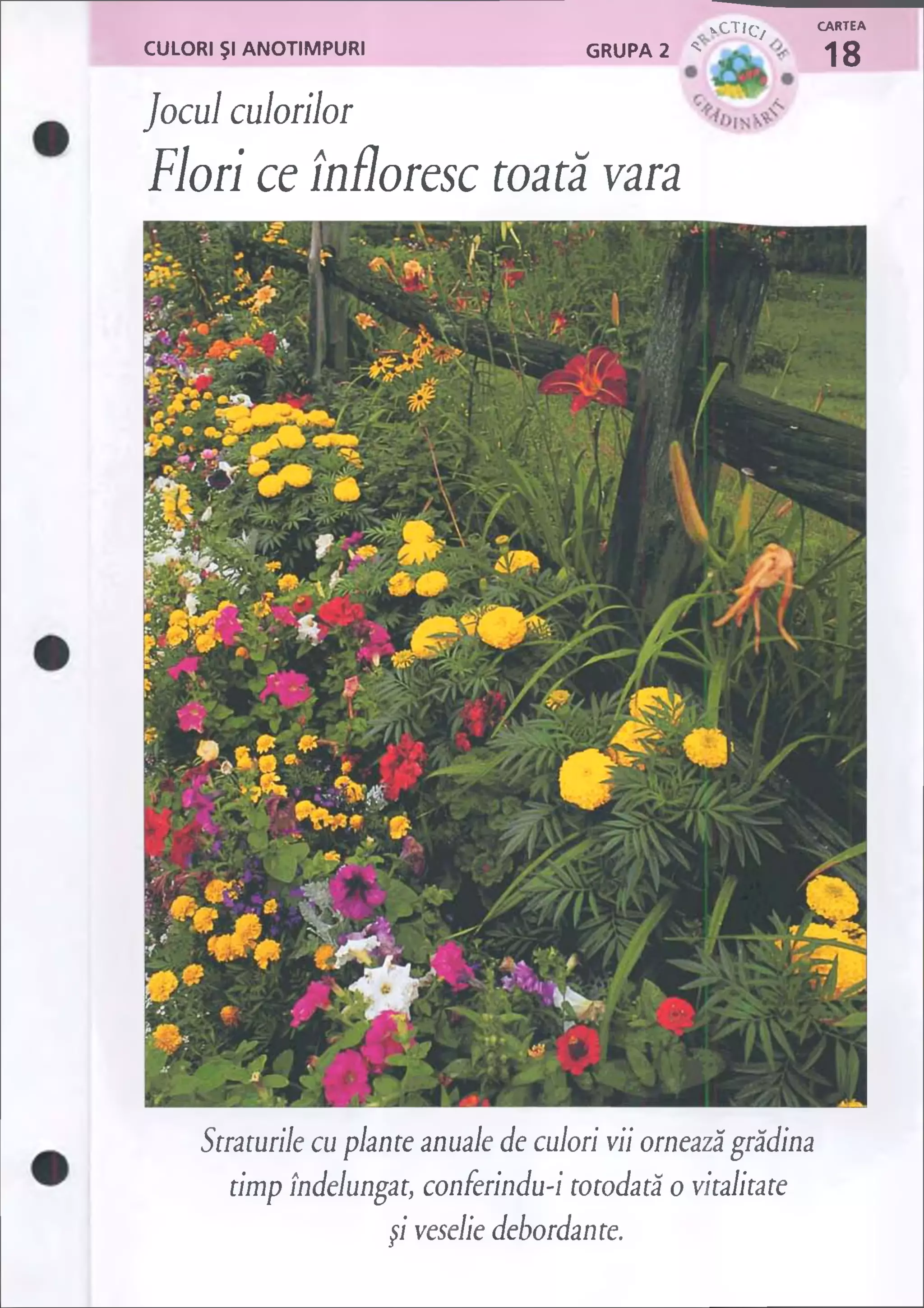 2 culori si anotimpuri | PDF