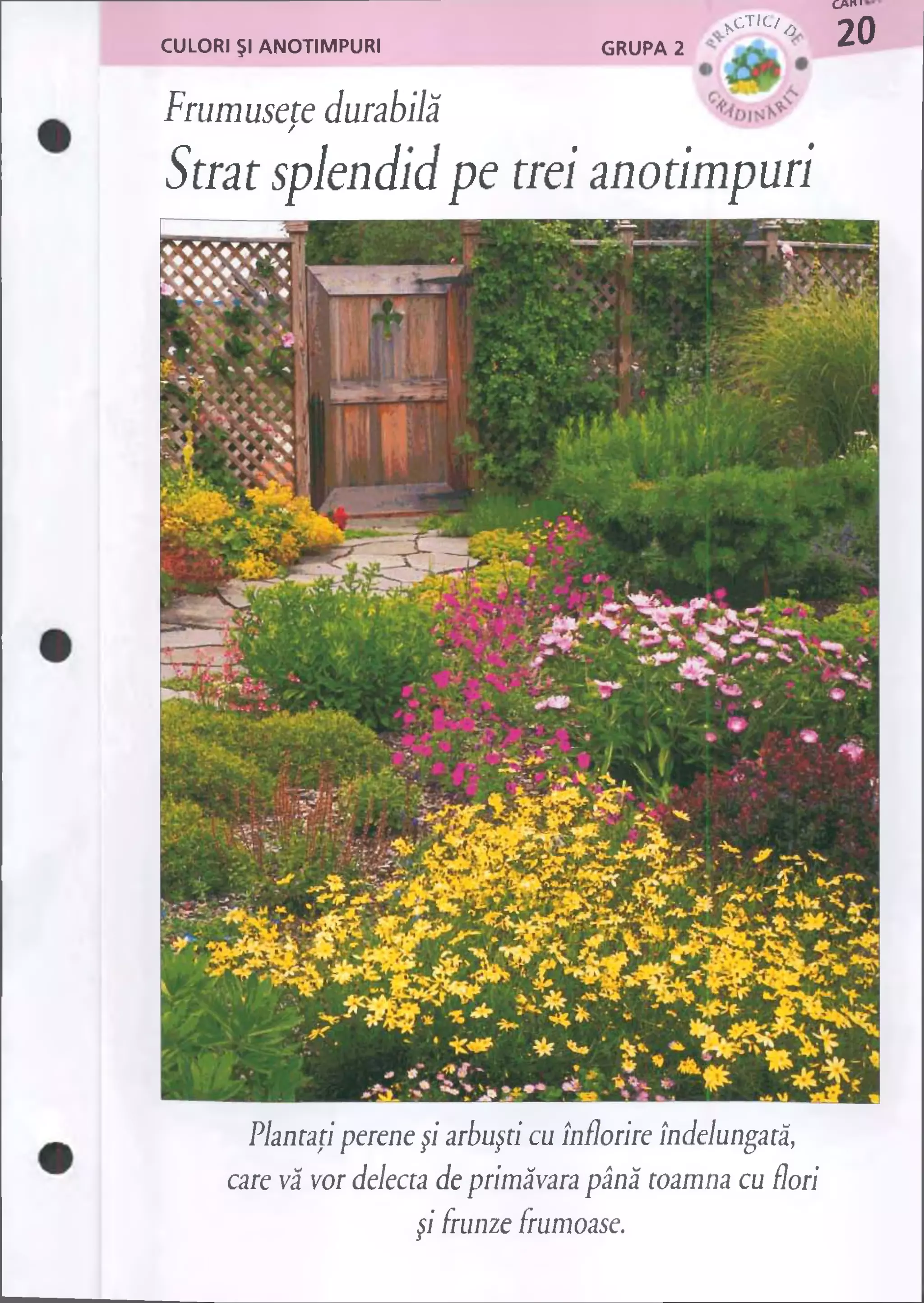 2 culori si anotimpuri | PDF