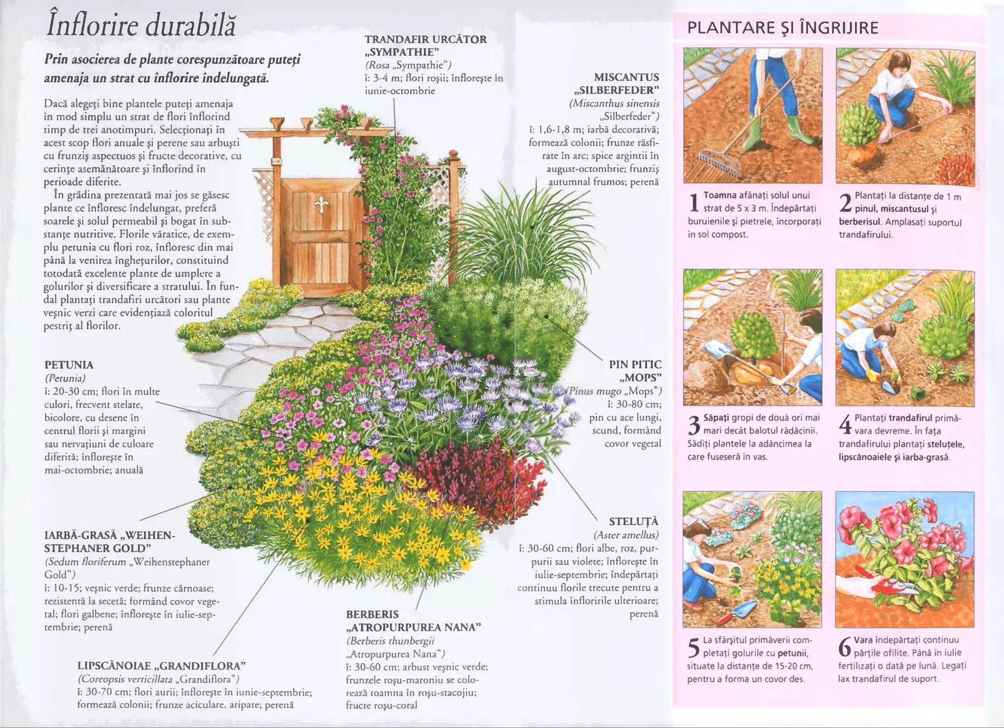 2 culori si anotimpuri | PDF