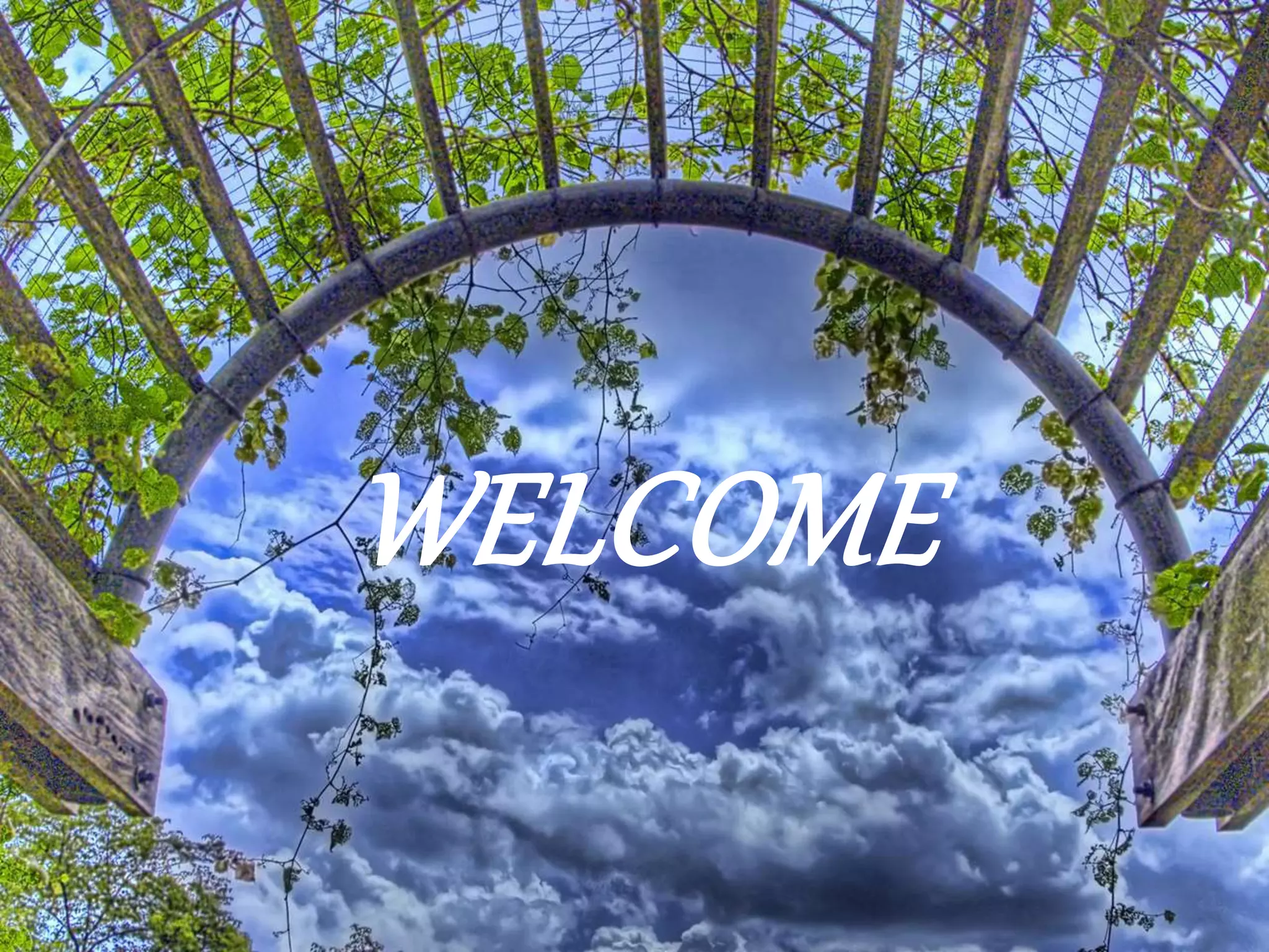 Deepthi Sivan | PPTX