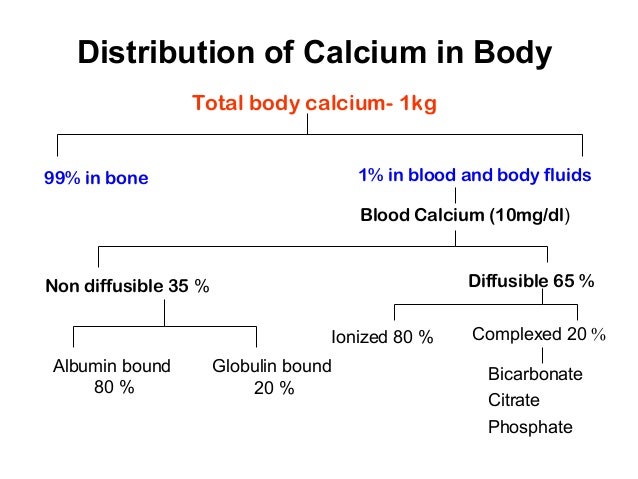calcium homeostasis and viamin D