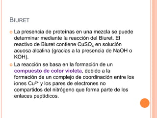 2d determinacion-de-proteinas | PPTX