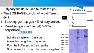 2D-gel electrophoresis by Suyash Garg.pptx