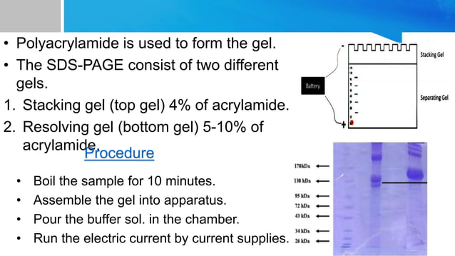 2D-gel electrophoresis by Suyash Garg.pptx