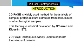 2D-gel electrophoresis by Suyash Garg.pptx