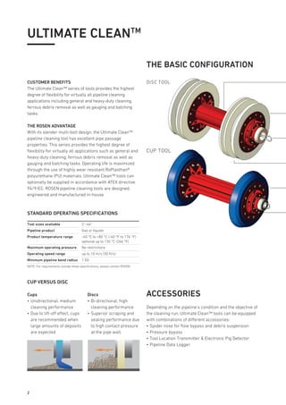 Ultimate Clean Flyer | PDF