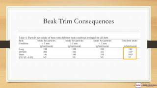 Beak Trimming | PPTX