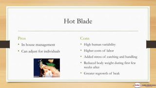 Beak Trimming | PPTX