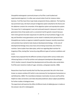 Extended essay report | PDF