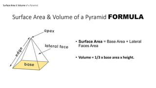2D & 3D Shapes differentiation with Perimeter, Area, Surface Area, and ...