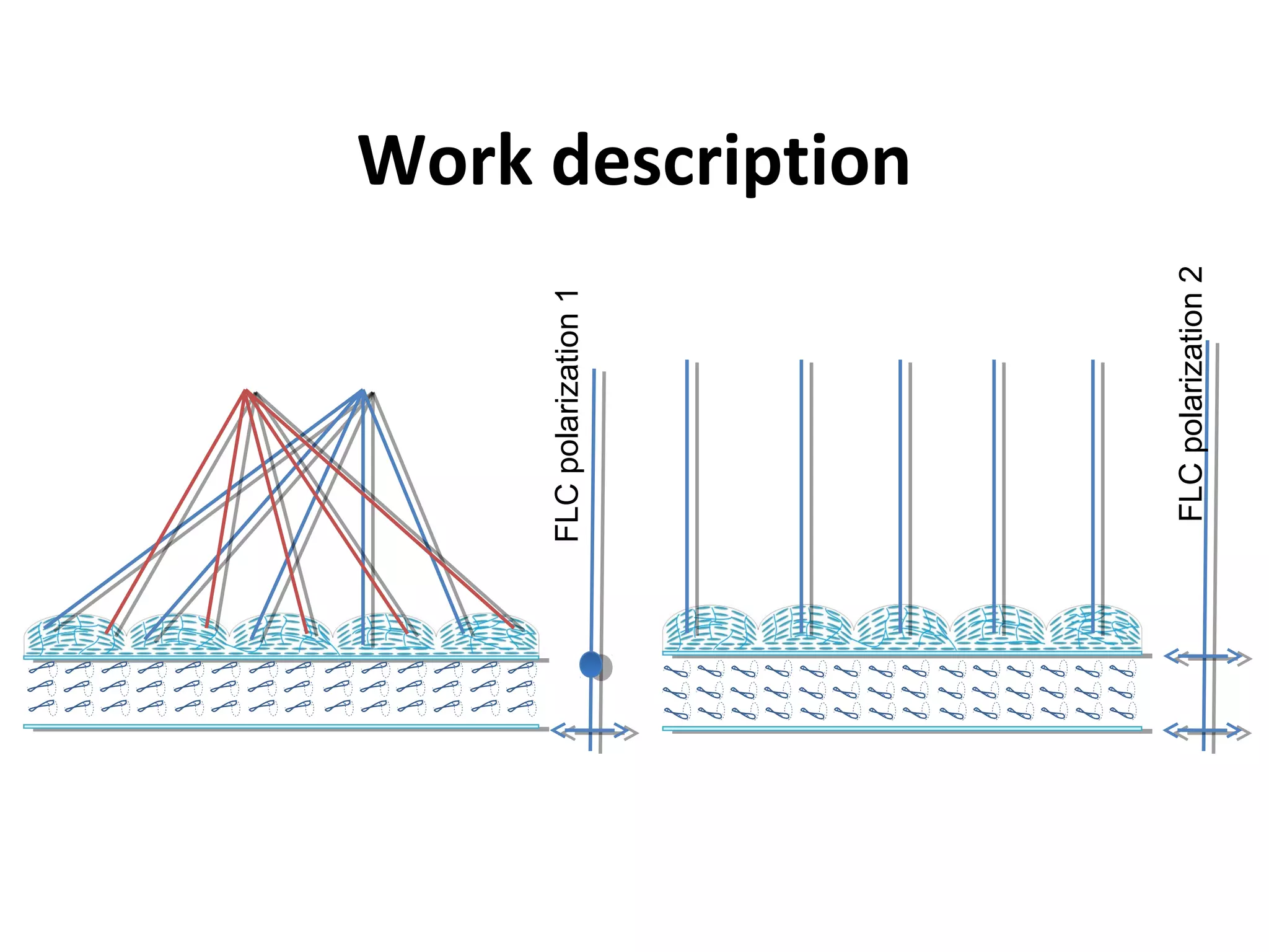 2D/3D switchable display | PPT