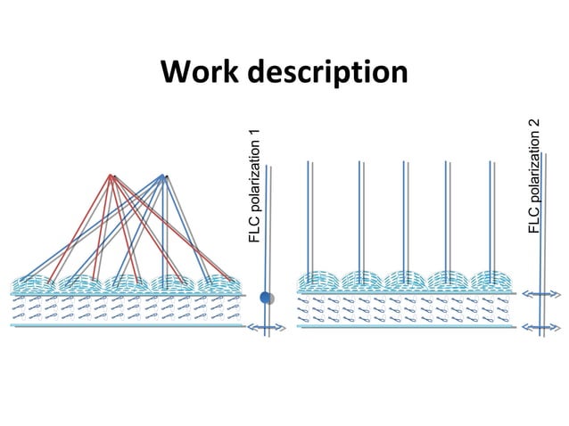 2D/3D switchable display | PPT