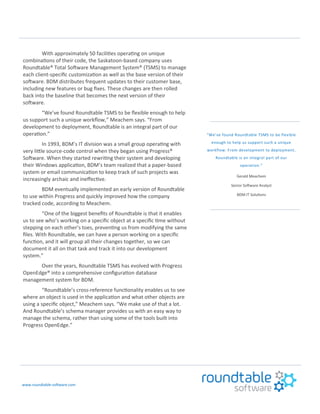 rtb_success_bdm | PDF | Computer Software and Applications | Computing