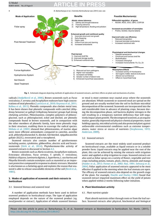 Seaweed extracts as biostimulants | PDF | Gardening | Home & Garden