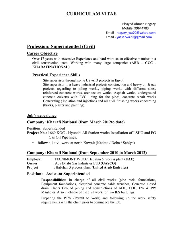 elsayed cv last | PDF