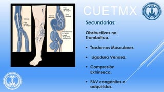 2da CLASE - Enfermedad Venosa - CLASIFICACIÓN CEAP - CUETMX.pdf
