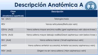 2da CLASE - Enfermedad Venosa - CLASIFICACIÓN CEAP - CUETMX.pdf