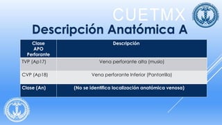 2da CLASE - Enfermedad Venosa - CLASIFICACIÓN CEAP - CUETMX.pdf