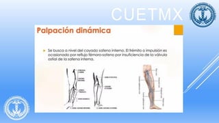 2da CLASE - Enfermedad Venosa - CLASIFICACIÓN CEAP - CUETMX.pdf