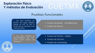 2da CLASE - Enfermedad Venosa - CLASIFICACIÓN CEAP - CUETMX.pdf