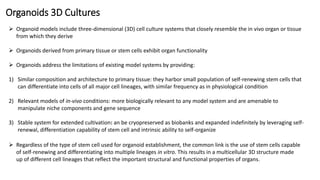 2D & 3D cell cultures | PPTX