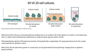 2D & 3D cell cultures | PPTX