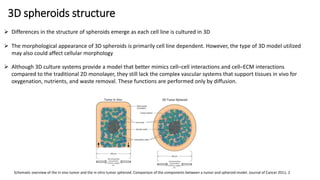 2D & 3D cell cultures | PPTX