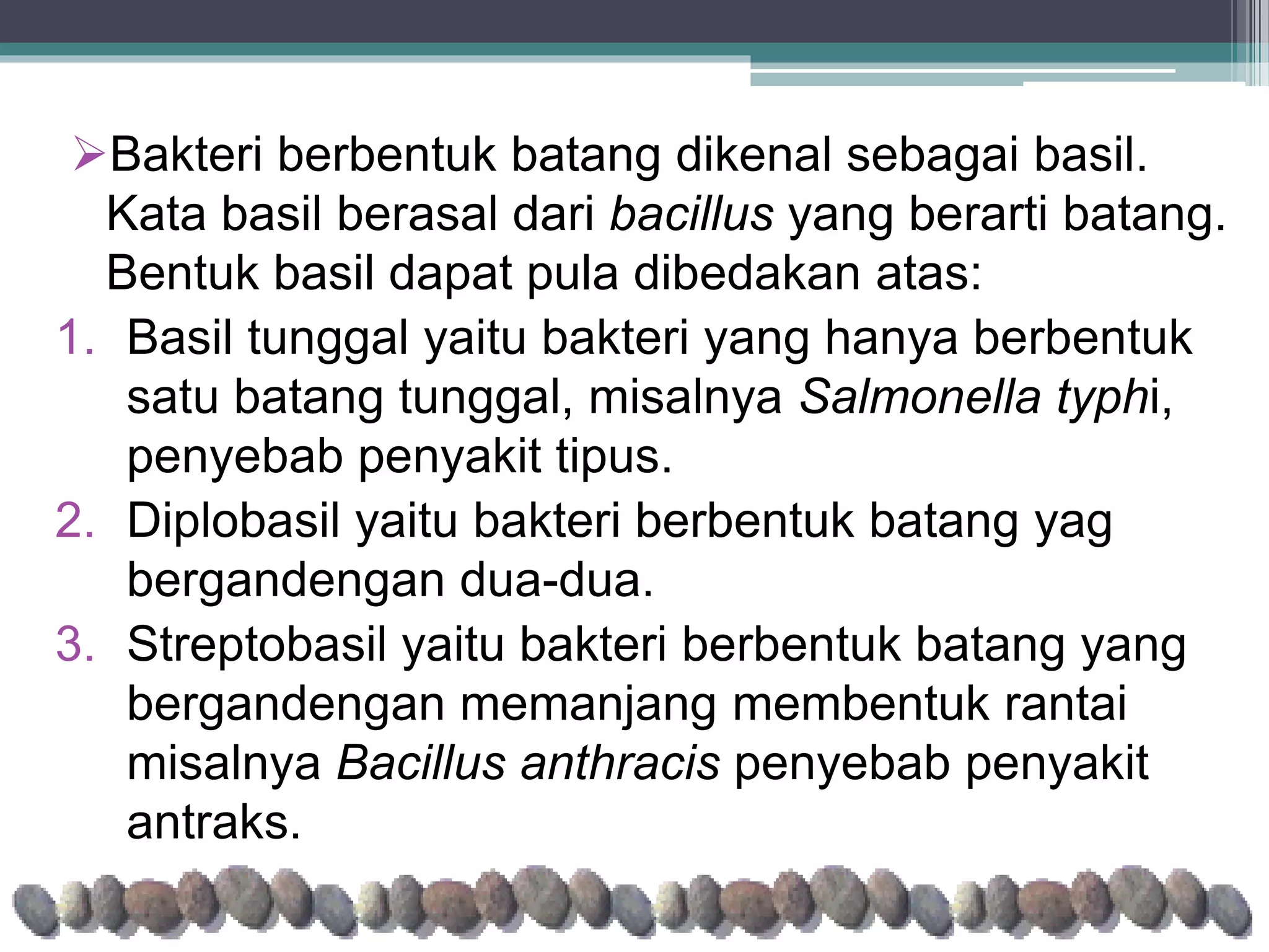 2 DASAR-DASAR BAKTERIOLOGI DAN MIKROBIOLOGI.pptx