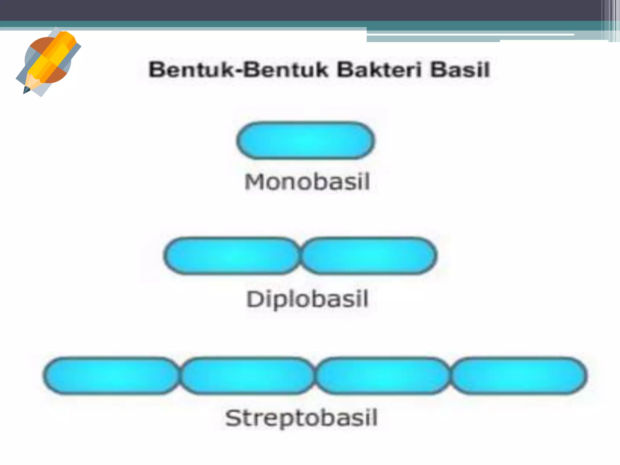 2 DASAR-DASAR BAKTERIOLOGI DAN MIKROBIOLOGI.pptx
