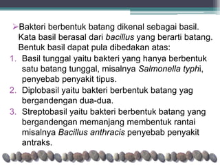 2 DASAR-DASAR BAKTERIOLOGI DAN MIKROBIOLOGI.pptx