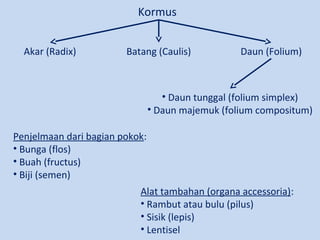 Botani 2 Daun Tunggal | PPT