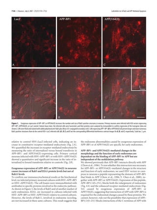 Rab5 Mediates an Amyloid Precursor Protein Signaling Pathway That Leads ...