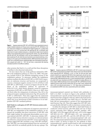 Rab5 Mediates an Amyloid Precursor Protein Signaling Pathway That Leads ...