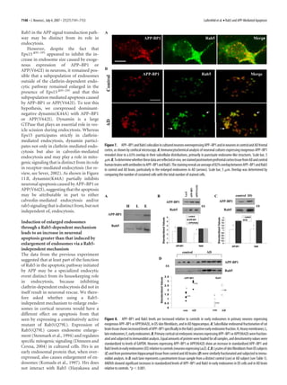 Rab5 Mediates an Amyloid Precursor Protein Signaling Pathway That Leads ...