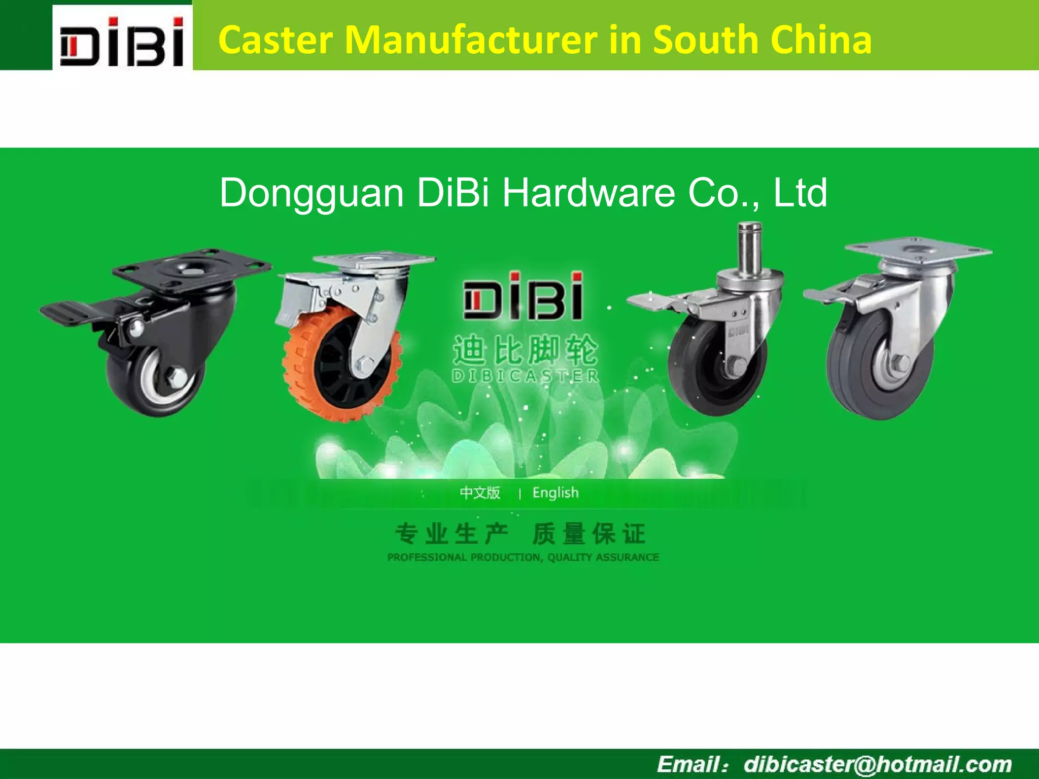 DiBi Caster Presentation | PPT